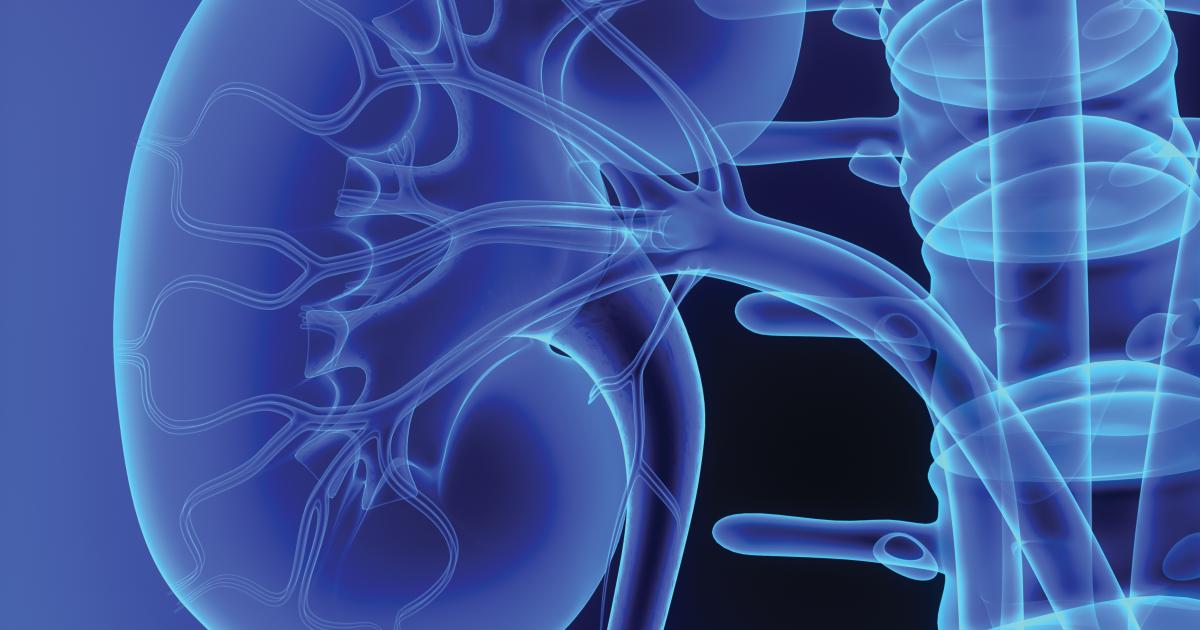 Renal Medicine | Royal College of Physicians of Edinburgh