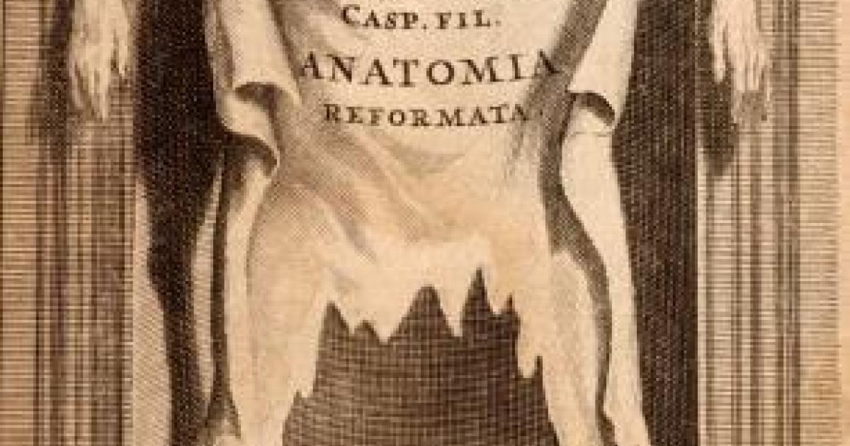 Skin: A Natural Border | Royal College of Physicians of Edinburgh